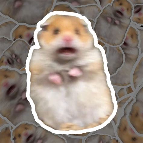Scared Hamster Meme Sticker Hamster Sticker Waterproof Vinyl Decal