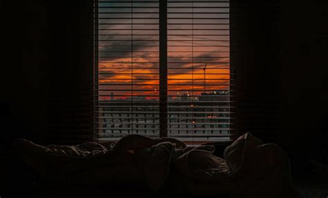 «green Sex Έτσι θα έχετε μια φιλική προς το περιβάλλον σεξουαλική ζωή