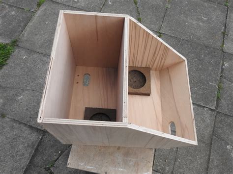 Action For Swifts Swift Boxes Under Very Broad Open Eaves