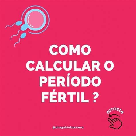 Redbox Sex Shop 🌟 Como Calcular O Período Fértil Essa