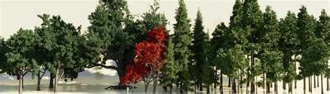 Forest Nodes Procedural Trees Using Geometry Nodes Finished Projects Blender Artists Community