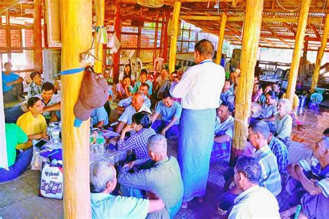 ပွင့်ဖြူမြို့နယ်၌ ဆောင်းသီးနှံကုလားပဲ ဧက၁၀၀ ကန်ထရိုက်လယ်ယာစနစ် အကောင