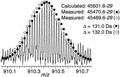 Oxidation State Calculator Taylorgerson