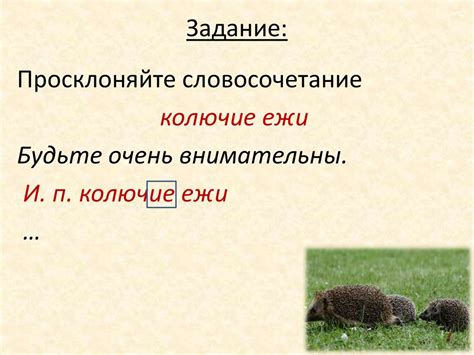 Склонение имён прилагательных во множественном числе Урок русского языка для учащихся 4 класса