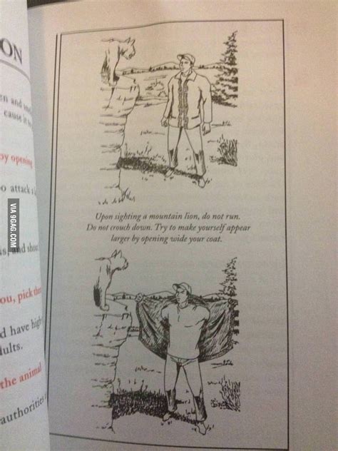 Come At Me Bro 9gag