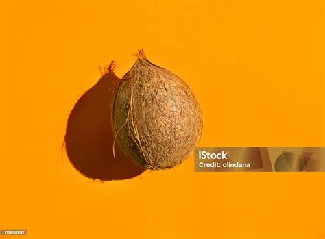 단색 오렌지 겨자에 단일 갈색 코코넛 오 커 배경 거친 빛이 강한 그림자 따뜻한 보색 색상표입니다 창조적 인 음식 포스터입니다 여름 해변 휴가 재미 건강 한 오일 스킨 바디