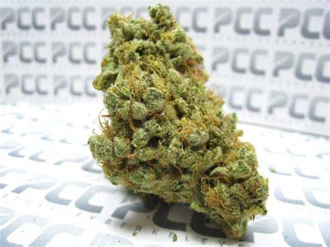 Lambs Bread Leafedout Free Anon Weed Network Meet Any Cannabis Need