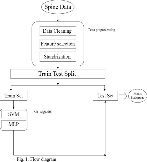 Figure 5 From Diagnosing Spinal Abnormalities Using Machine Learning A