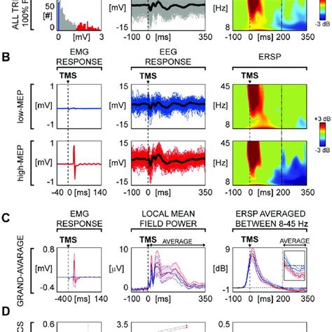 Tms Evoked Eeg Responses Over Left M1 Comparison Between High Mep And Download Scientific