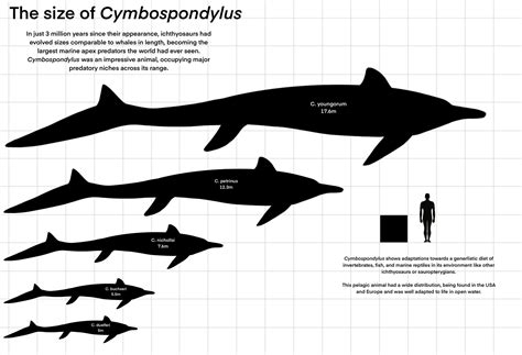 Shastasaurus Vs Megalodon