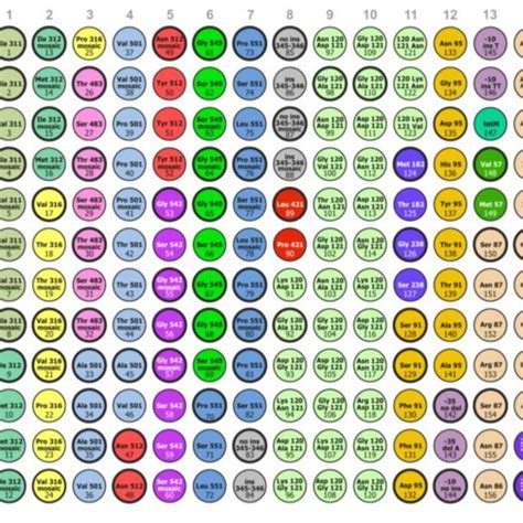 Configuration Of The Microarray For Detecting Mutations Associated With Download Scientific