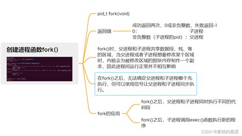 c语言进程与线程操作详解：fork vfork wait与exec csdn博客