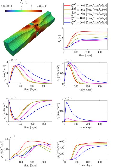 Evolution Of Quantities Of Interest At Point P Download Scientific