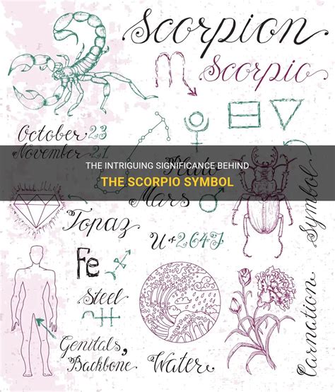 The Intriguing Significance Behind The Scorpio Symbol Shunspirit