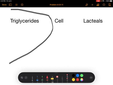 SOLVED After Triglycerides Are Absorbed They Leave The Cell And Move Into The A Bloodstream