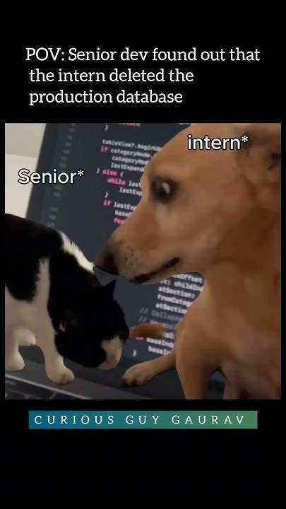 🥲😂💀 Programminglife Coderlife Developerlife Codinglife