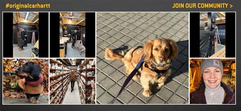 10 Reasons Why Sap Composable Storefront Is An Underrated Marketing Tool Cloudflight