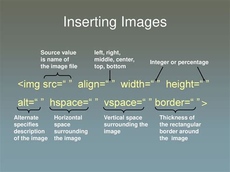 font tag and its attributes ppt download