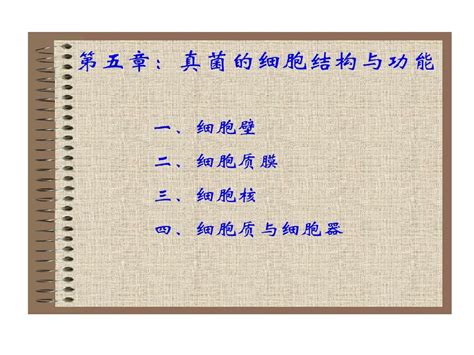 真菌细胞结构与功能共37页 Word文档在线阅读与下载 无忧文档