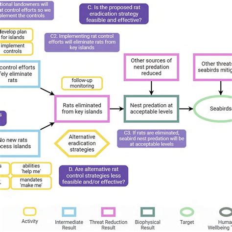 5 Examples Of Analytical Questions And Assumptions Related To A Theory