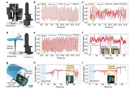 Unlocking Precision How Structural Colors Enhance Tactile Perception Methods