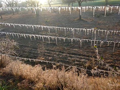 At 14 Degrees Celsius Delhi Records Coldest Morning Of Season The