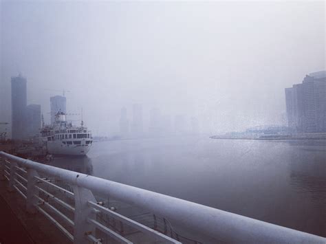2023海河外滩公园游玩攻略 海河外滩公园免门票最好 去哪儿攻略
