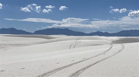 Migrating A Codebase To Enable Strictnullchecks Thoughts