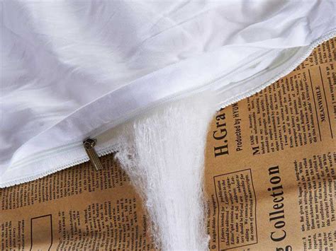 Silk Fiber Structure