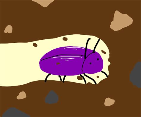 Cockroach Digging Into Lava Drawception