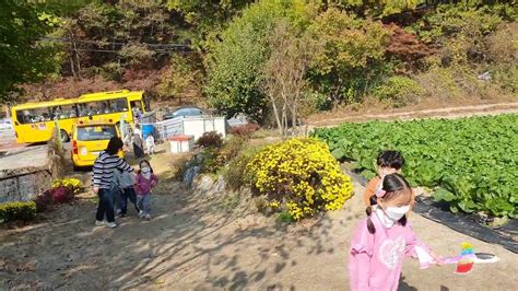 비행기 날리기 장미유치원