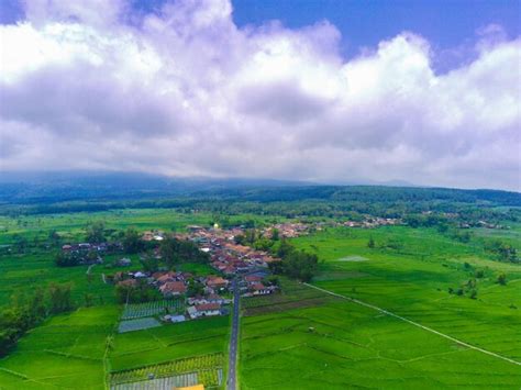 Premium Photo A Beautiful Aerial View Of Winding Road Between The Rice Fields Of Pronojiwo