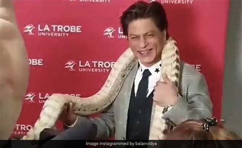 शाहरुख खान ने असली अजगर को कंधे पर रखकर खिंचवाई Photos एक्टर ने यूं दिये जबरदस्त एक्सप्रेशंस