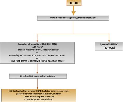 European Association Of Urology Guidelines On Upper Urinary Tract Urothelial Cell Carcinoma