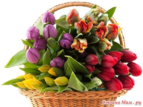 Худи с карманом-кенгуру. Реглан сверху спицами. - Вязание - Страна Мам