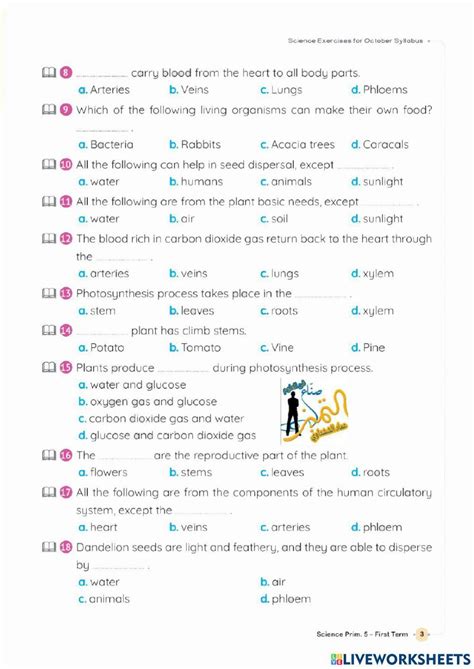 عماد الششتاوي امتحان الصف الخامس اكتةبر 2022 2193322