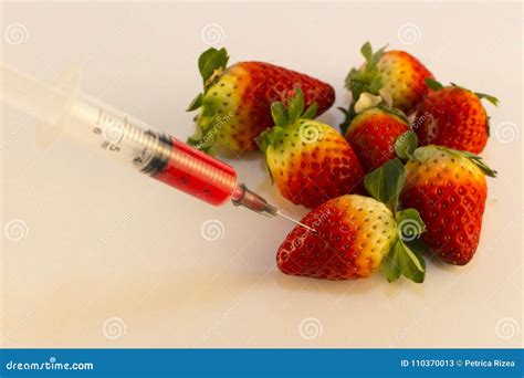 Fruit Development Genes Stock Image Image Of Fruits 110370013