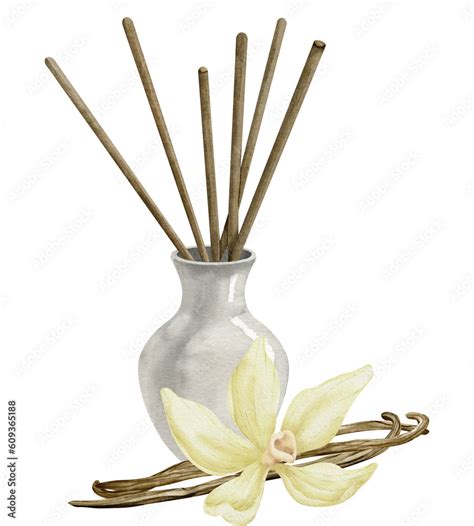 Diffuser With Vanilla Flowers And Sticks Hand Drawn Watercolor Illustration On White Isolated