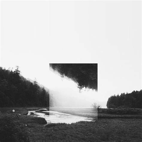 Victoria Siemer Installation Art Nature Photography Sculpture
