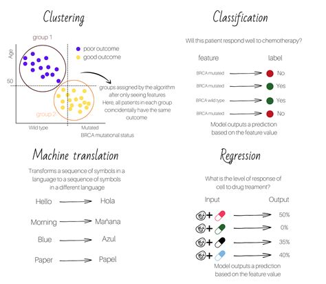 An Intro To Machine Learning For Biomedical Scientists Towards Data Science