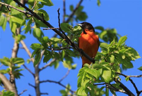 Flock Only Win A Copy Of “kind” By Gretchen Primack Bonus Fabulous