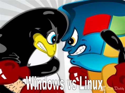 Windows Or Linux Hosting When Windows Is Better Sprintally