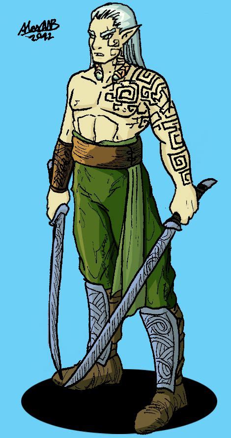 Silvan Elf Blade Dancer By Shabazik On Deviantart Silvan Elves