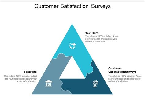 Customer Satisfaction Surveys Ppt Powerpoint Presentation Show Shapes Cpb