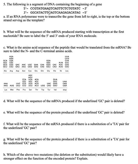 solved gene expression 4 the diagram below represents