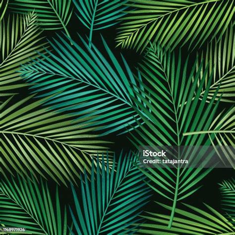 열 대 잎과 완벽 한 패턴 손바닥 몬스 테라 정글 잎 원활한 벡터 패턴 어두운 배경 수영복 식물 디자인입니다 벡터 벡터 0명에 대한 스톡 벡터 아트 및 기타 이미지 Istock