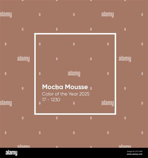 Mocha Mousse Color 2025 Abstract Background With Square Frame Monochrome Color Concept Stock