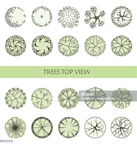 마스터 플랜을 위한 트리입니다 건축 평면도를 위한 나무 측근 디자인 벡터 그림입니다 개체 그룹에 대한 스톡 벡터 아트 및 기타 이미지 개체 그룹 건축가 공원 Istock