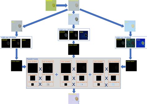 Overview Of Our Habs Image Enhancement Technique Three Images Are Download Scientific Diagram