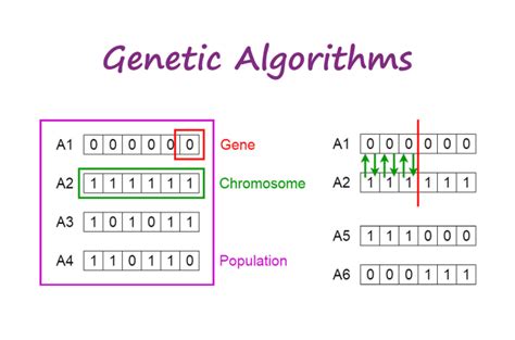Implement Genetic Algorithms Optimization In Python By Starleynike Fiverr